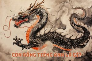Con rồng tiếng Anh là gì? Từ dragon đọc tiếng Anh là gì?